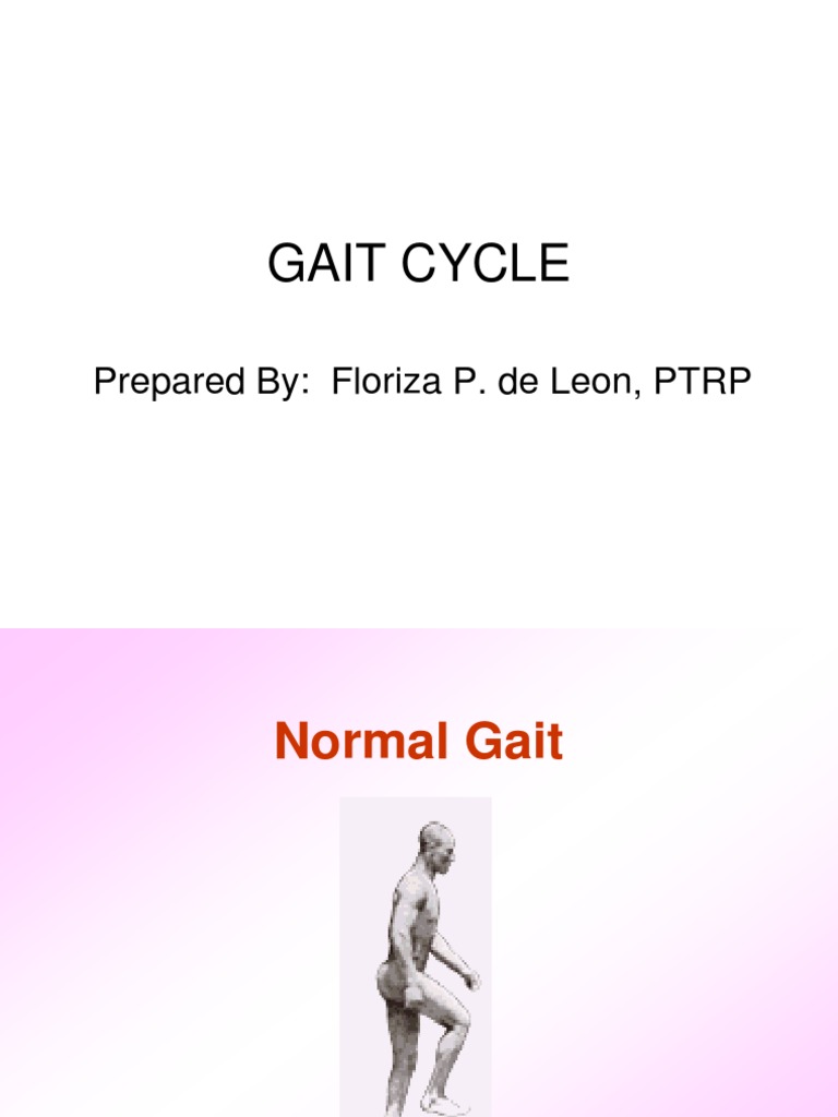 Gait Cycle | PDF | Foot | Muscle