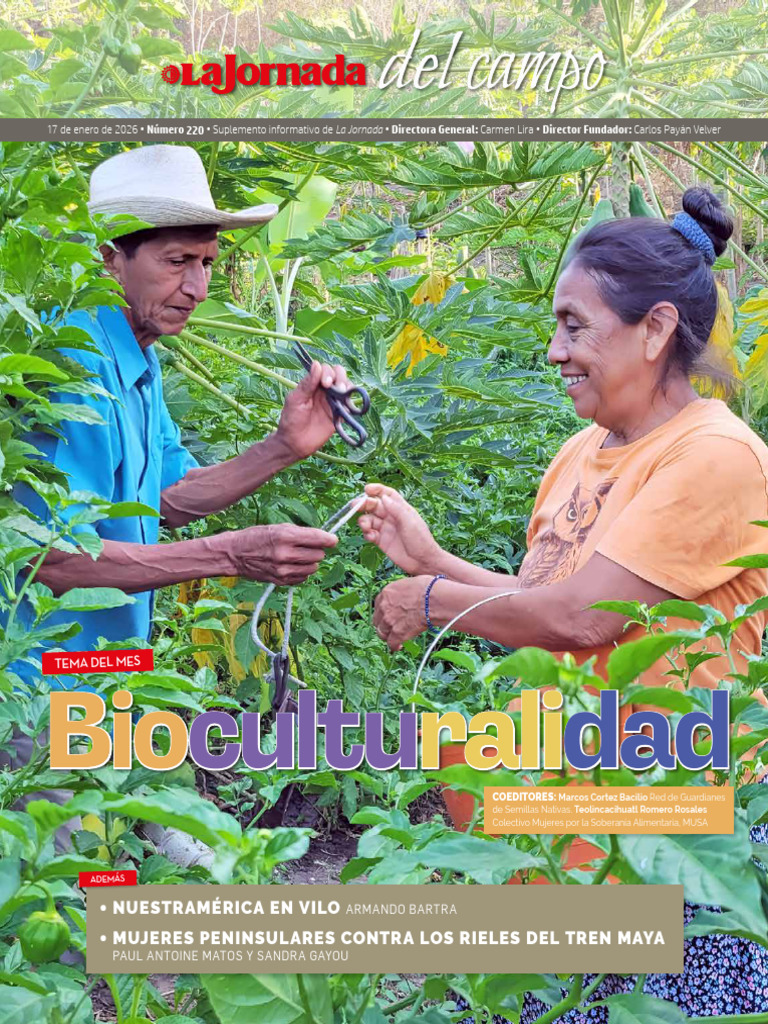 bioculturalidad_EJE MITO Y SUFICIENCIA ECONOMICA | PDF | Maíz | Donald ...