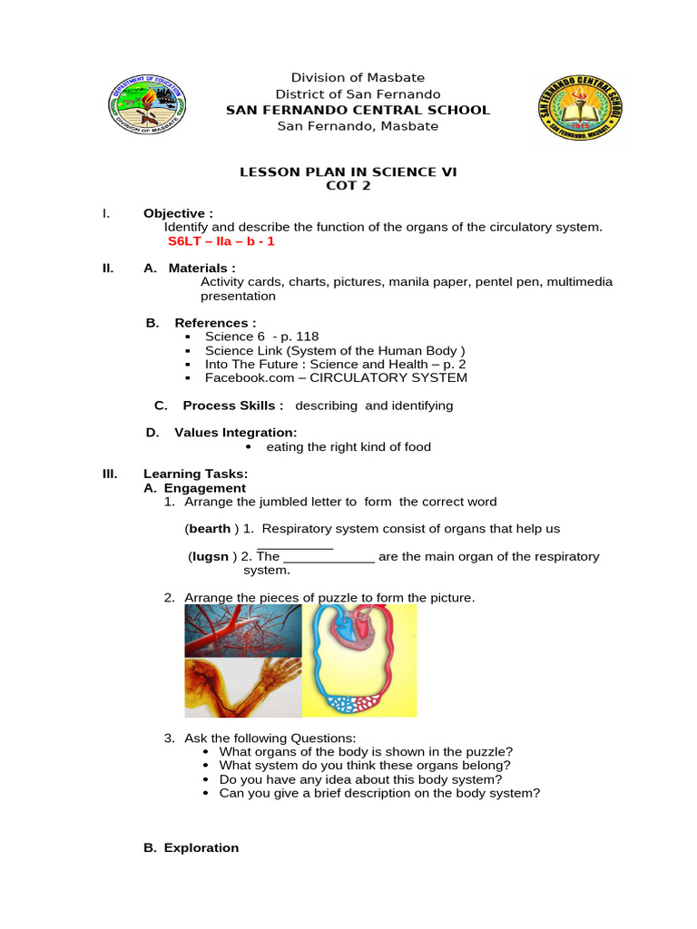 Lesson Plan in Science | PDF | Circulatory System | Heart