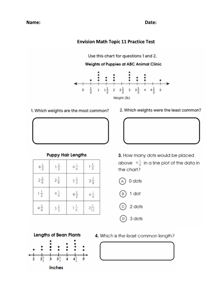 Envision Grade 4 Topic 11 Test | PDF