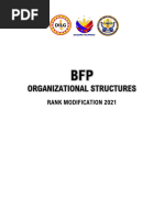 BFP-AIMS Guidelines for Personnel | PDF | Information | Information ...