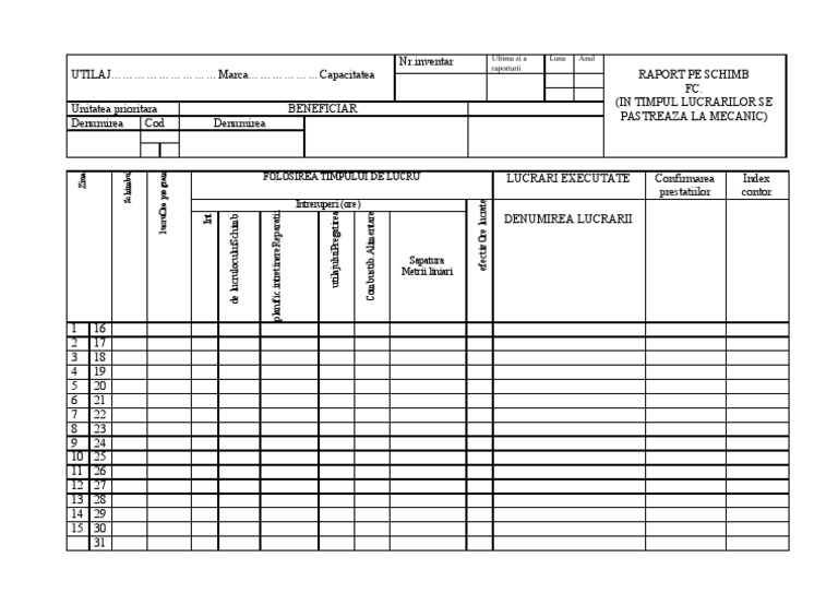 Raport de Lucru | PDF
