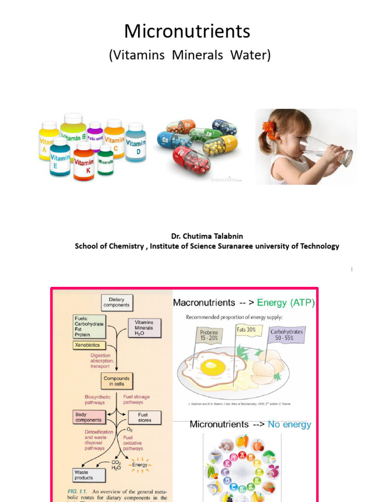 Micronutrients (Vitamin and Mineral) - 3h | PDF | Collagen | Vitamin
