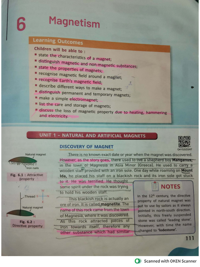 Physisc Magnetism | PDF