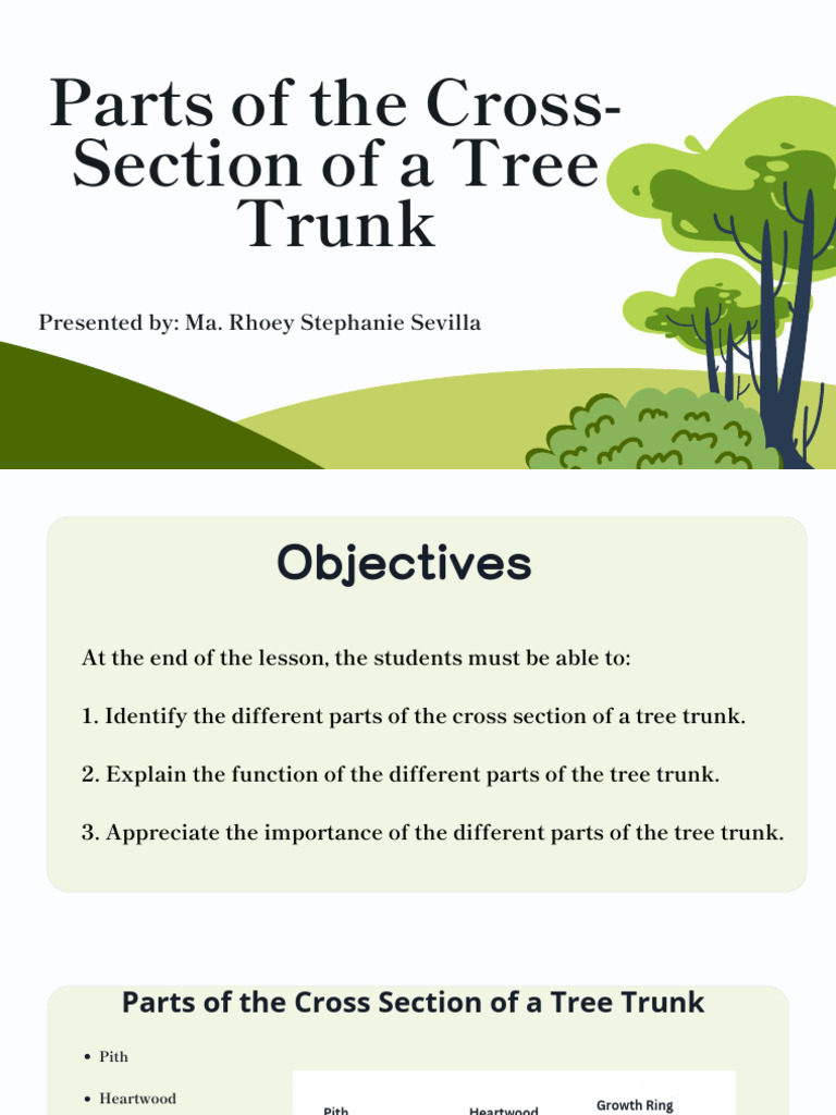 Parts of The Cross Section of A Tree Trunk 20260201 112819 0000 | PDF ...