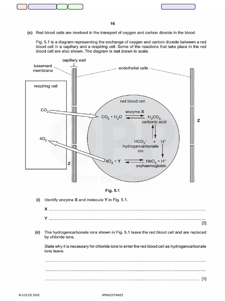 Topical Biology Transport in Mammals | PDF | Heart Valve | Heart