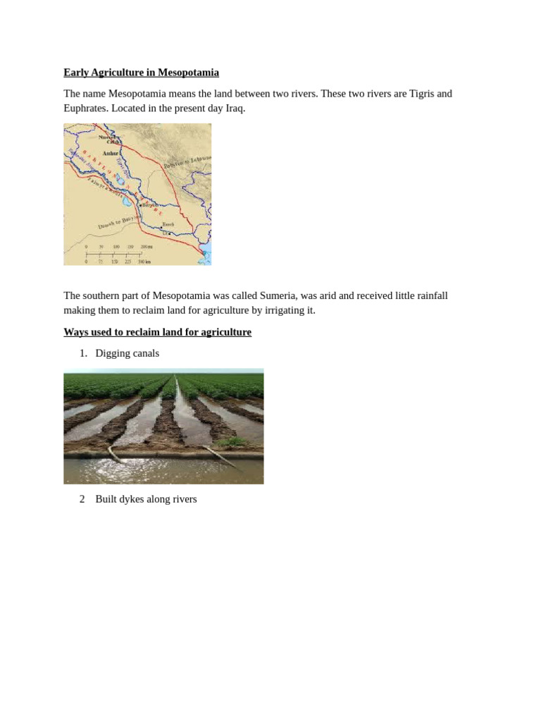 Early Agriculture in Mesopotamia | PDF