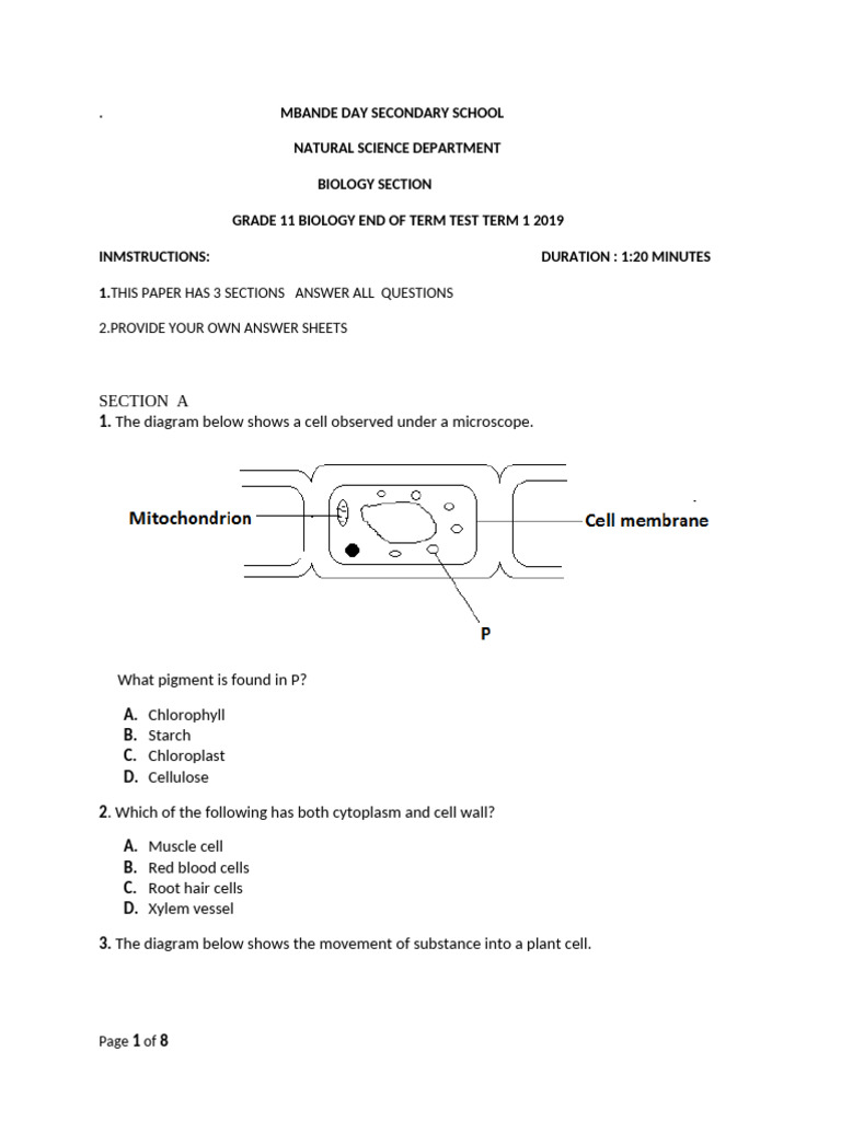 Biology Grade 11 End of Term Test 1 2019 | PDF | Cell (Biology) | Glucose