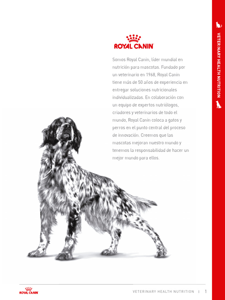 Productbook 2025 Vet - Compressed | PDF | Vitamina | Dieta