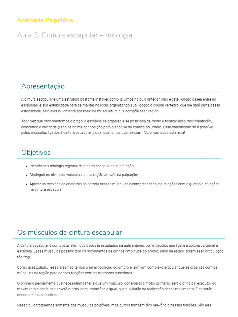 Aula 3 Anat Palp - Estácio | PDF | Membros (anatomia) | Anatomia humana