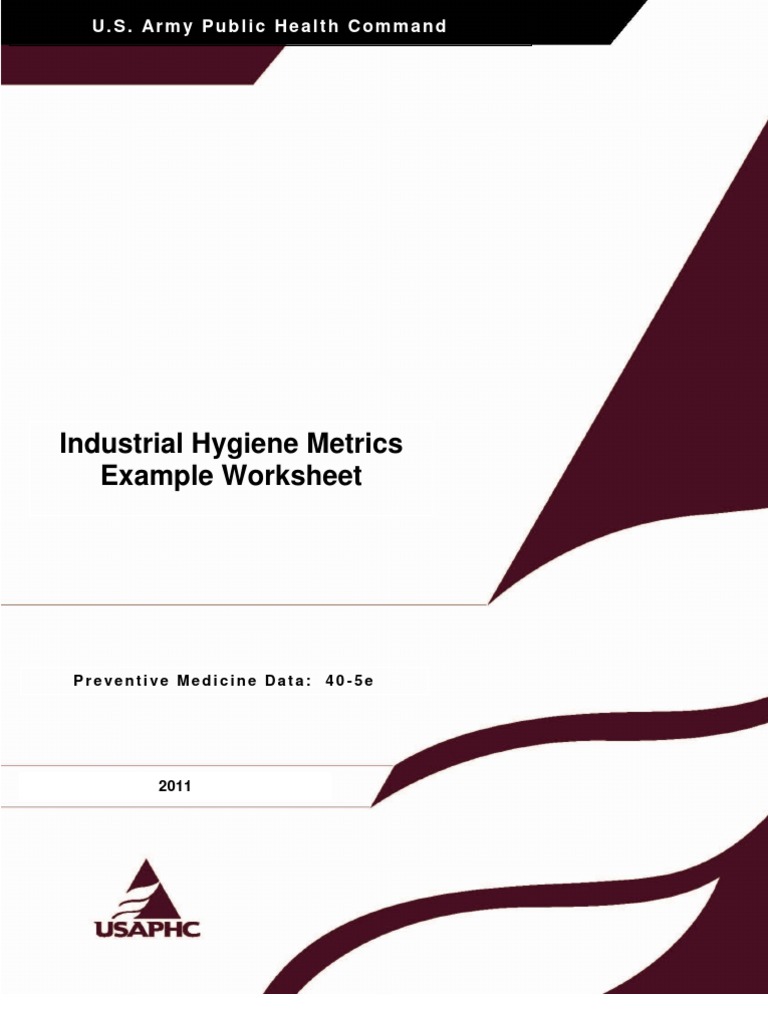 IH Metrics Example Worksheet | PDF | Occupational Hygiene | Noise