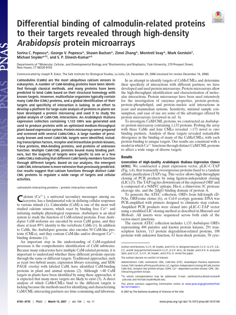 Popescu Et Al 2007 Differential Binding of Calmodulin Related Proteins ...