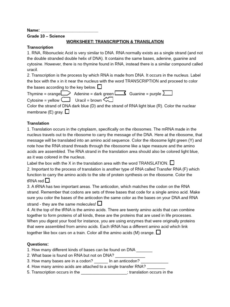 Grade 10 - Science - Transcription & Translation | PDF | Translation ...