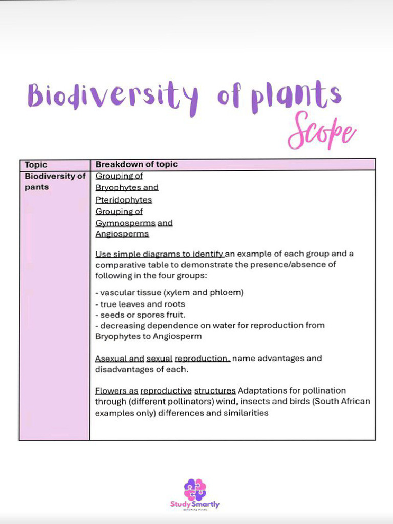 Plant Diversity Notes 2.0 | PDF