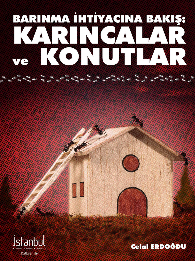 Barinma Ihtiyacina Bakis Karincalar Ve Konutlar Ya2ojw | PDF