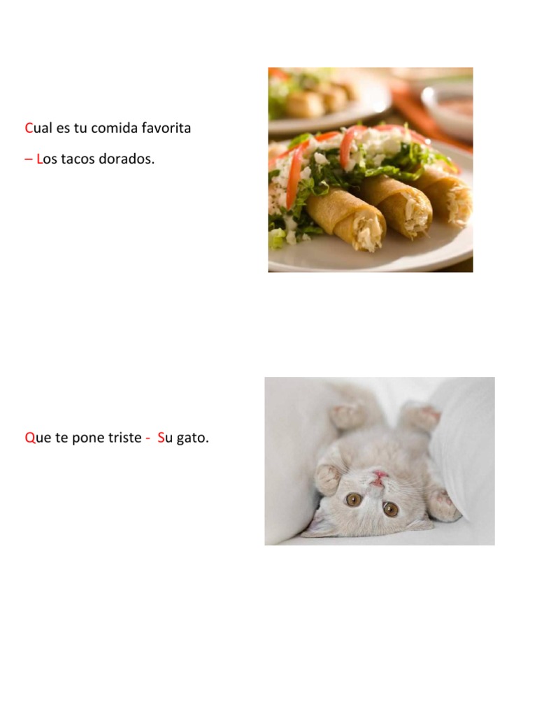 Cual Es Tu Comida Favorita | PDF