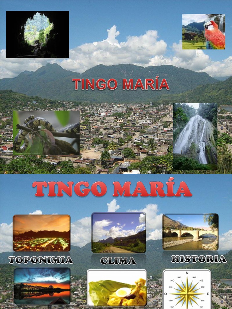 Tingo Maria | PDF | Cocina, comidas y vino | Tecnología