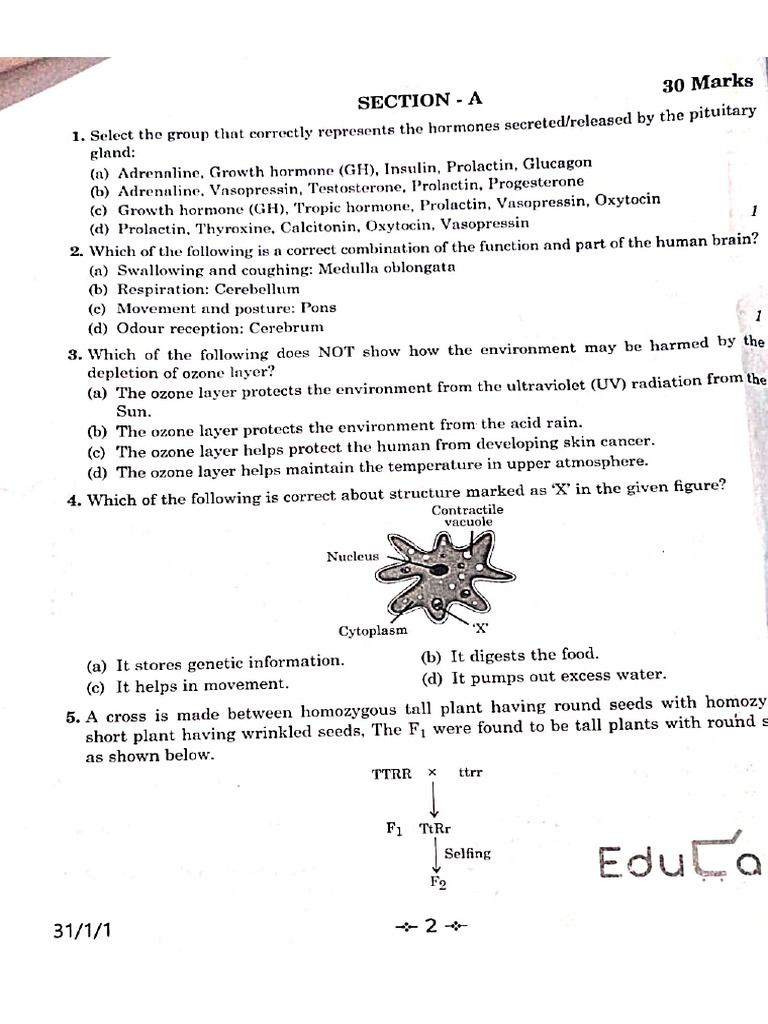 Science 1 | PDF