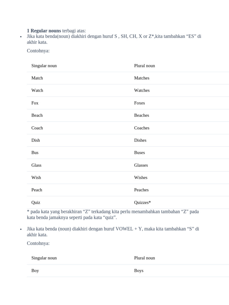 Regular Irregular Noun | PDF