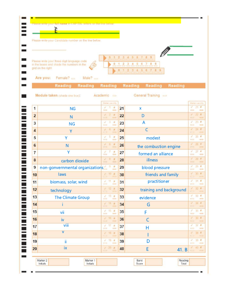 Reading Sheet | PDF