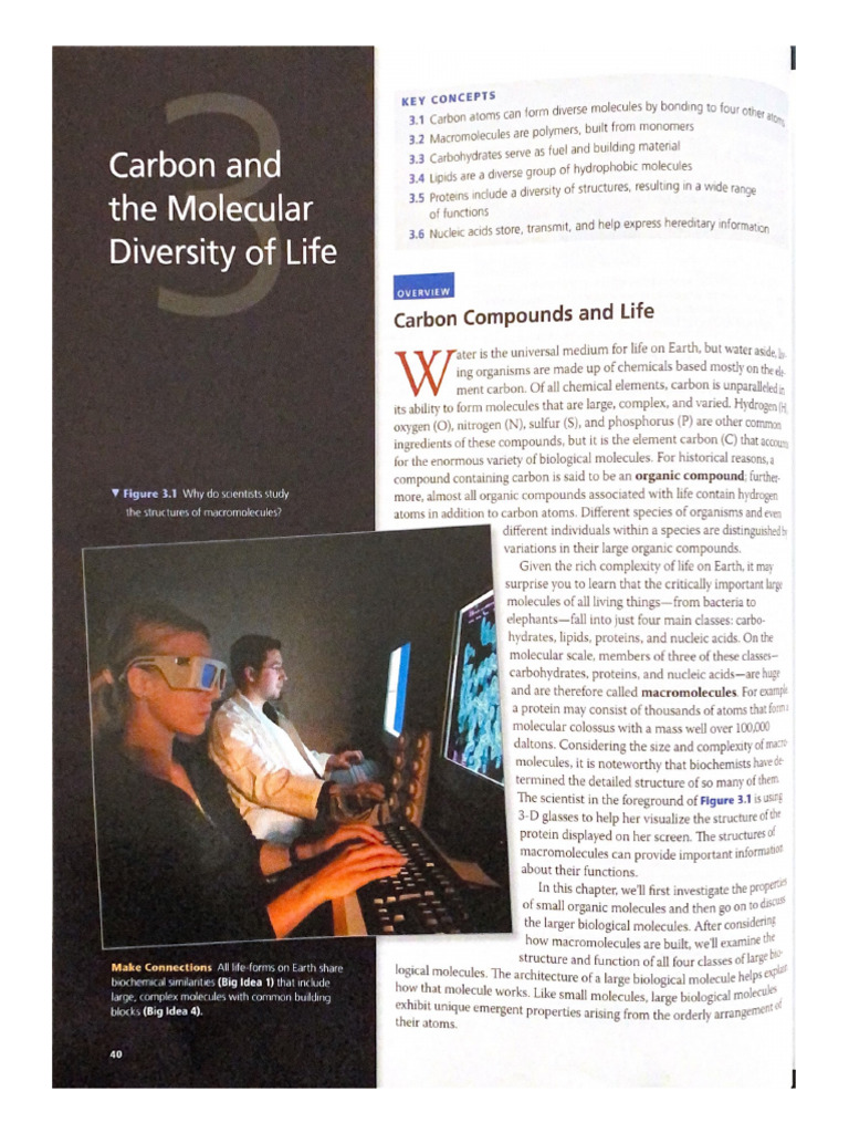 Chapter 3 - Carbon and The Molecular Diversity of Life - Biology in ...