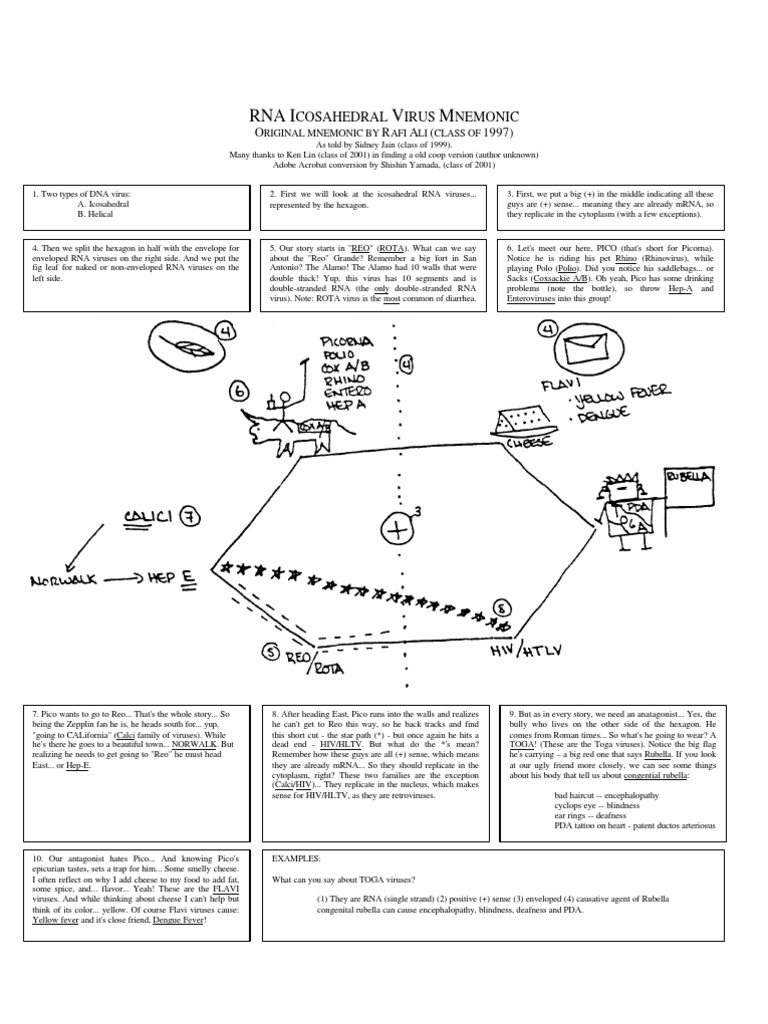 Micro Mnemonics | Virus | Rna