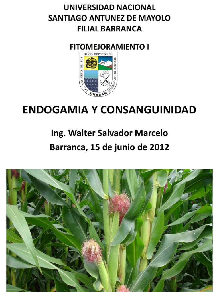 Endogamia y Heterosis en Cultivos | PDF | Genética | Biología