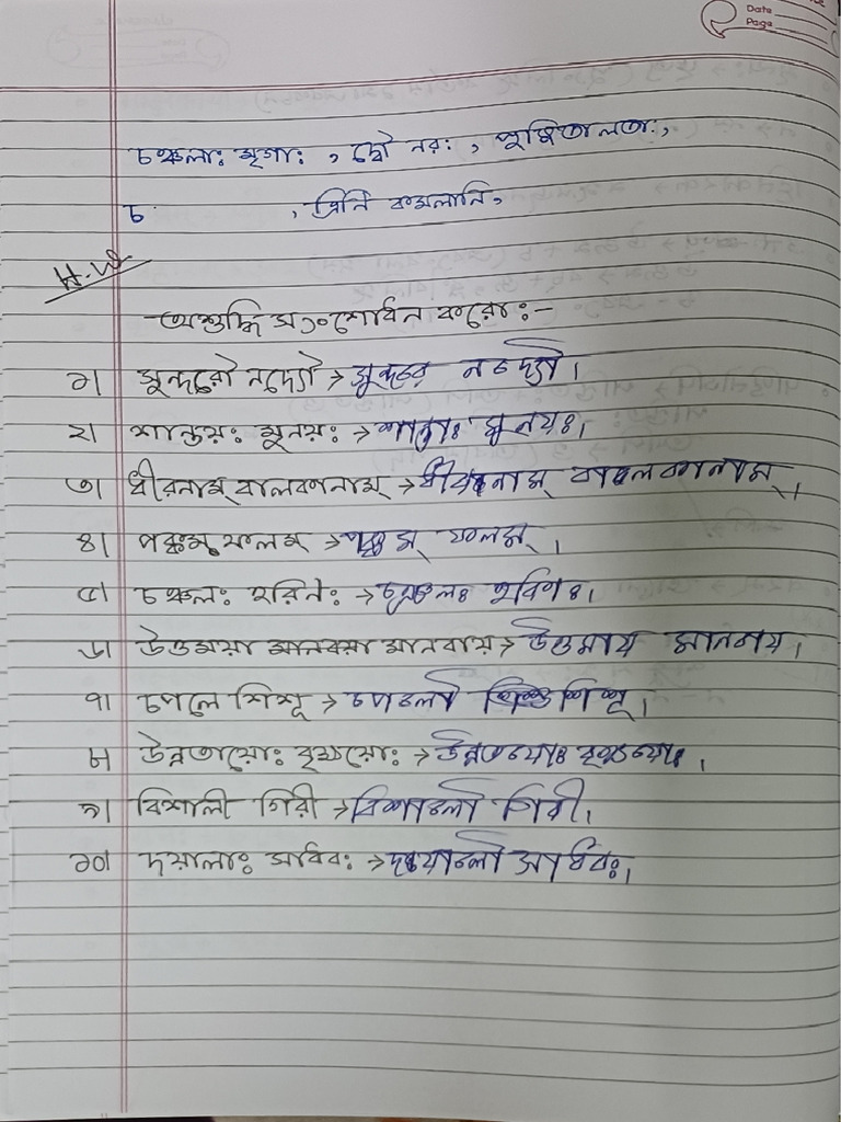 Gallery 20260217 214510 | PDF