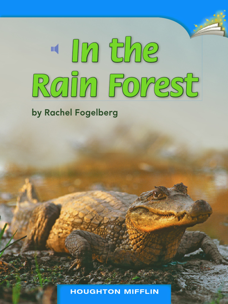 Lesson8 in The Rainforest | PDF
