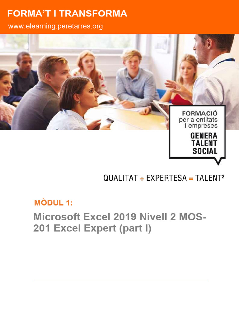 M1 - Microsoft Excel 2019 Nivell 2 MOS-201 Excel Expert (Part I) | PDF