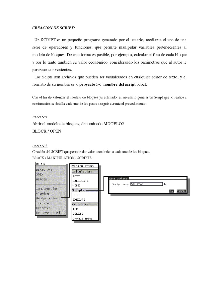 Creacion de Script | PDF | Lenguaje de escritura | Áreas de informática