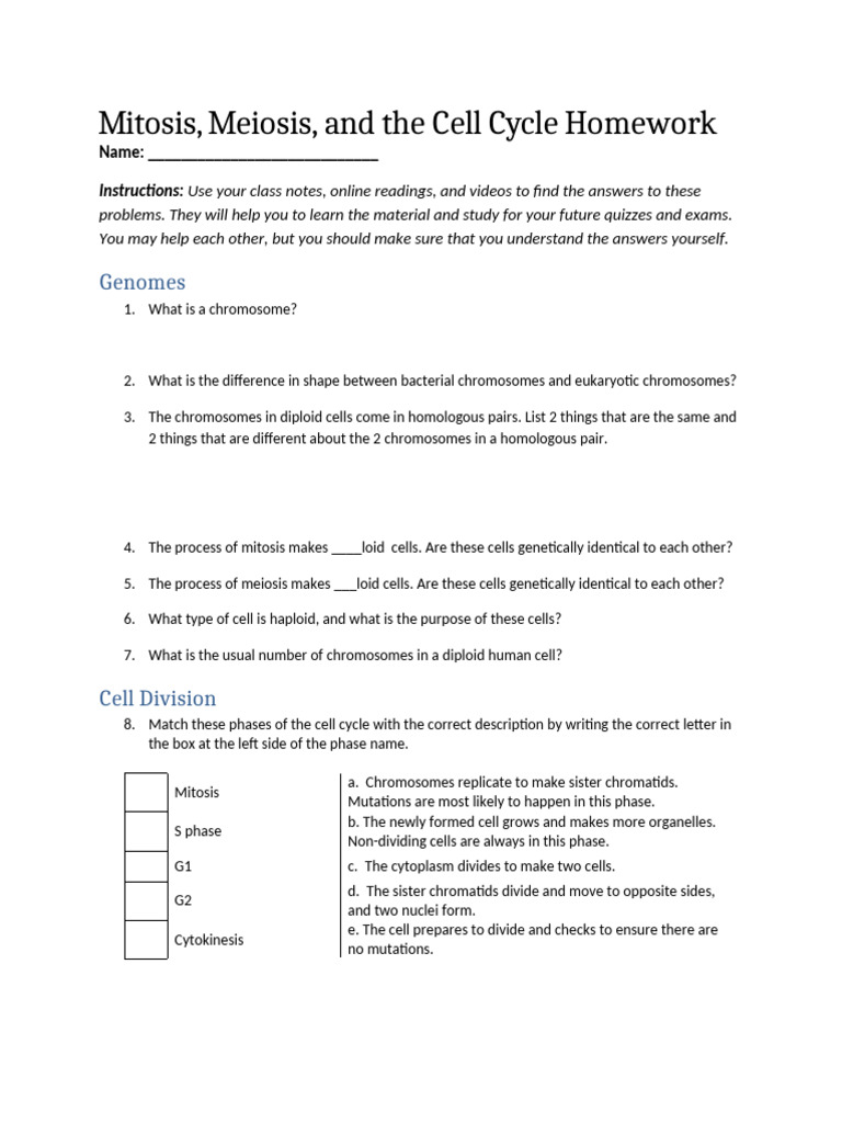 Mitosis Meiosis Homework | PDF | Meiosis | Mitosis