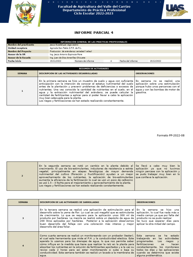 Inf4 Vega Castro Jesus Guadalupe | PDF | Agricultura | Fertilizante