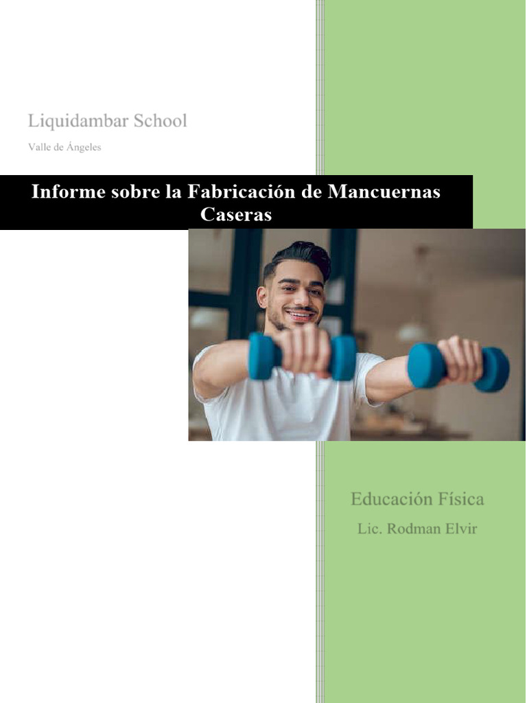 Informe Paula Velasquez Nelson PE1 | PDF