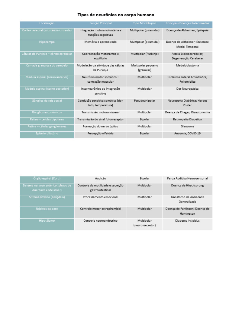 Tabela Tipos de Neurônios Do Corpo Humano | PDF | Cerebelo | Anatomia