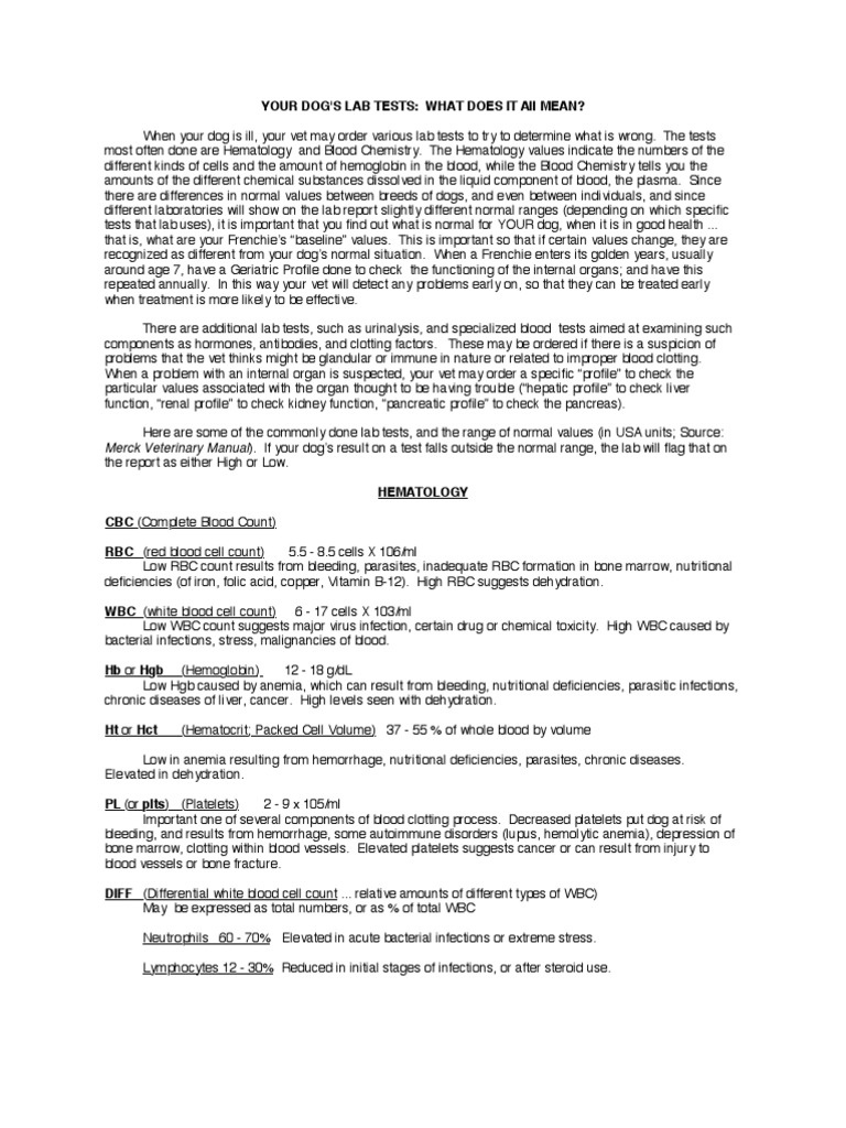 Your Dog's Lab Tests: Understanding the Results | PDF | White Blood ...