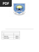 Toe Drain Design and Maintenance Insights | PDF | Dam | Soil Mechanics