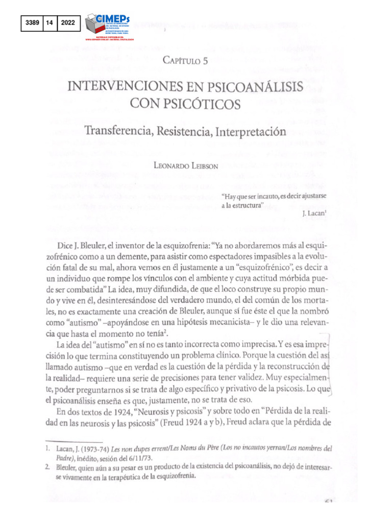 Leibson Interenciones Con Psicoticos | PDF