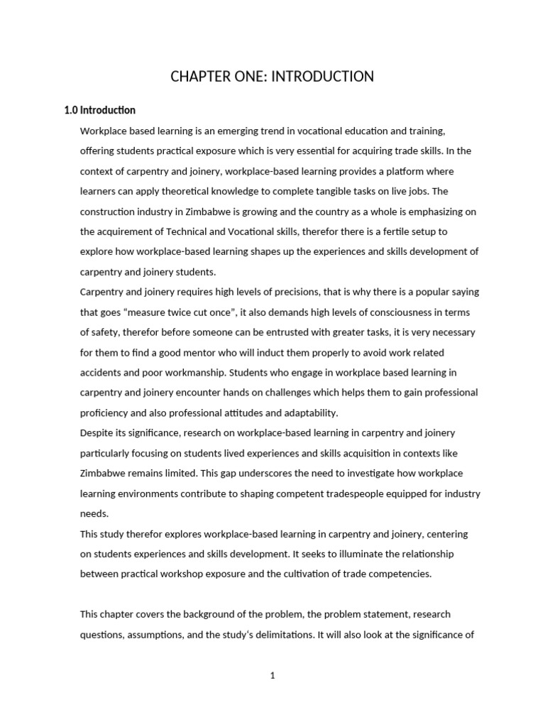 Salvin Sibanda Techvoc Project | PDF | Vocational Education | Mentorship