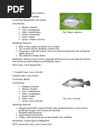 Pakol Fish: Characteristics and Habitat | PDF