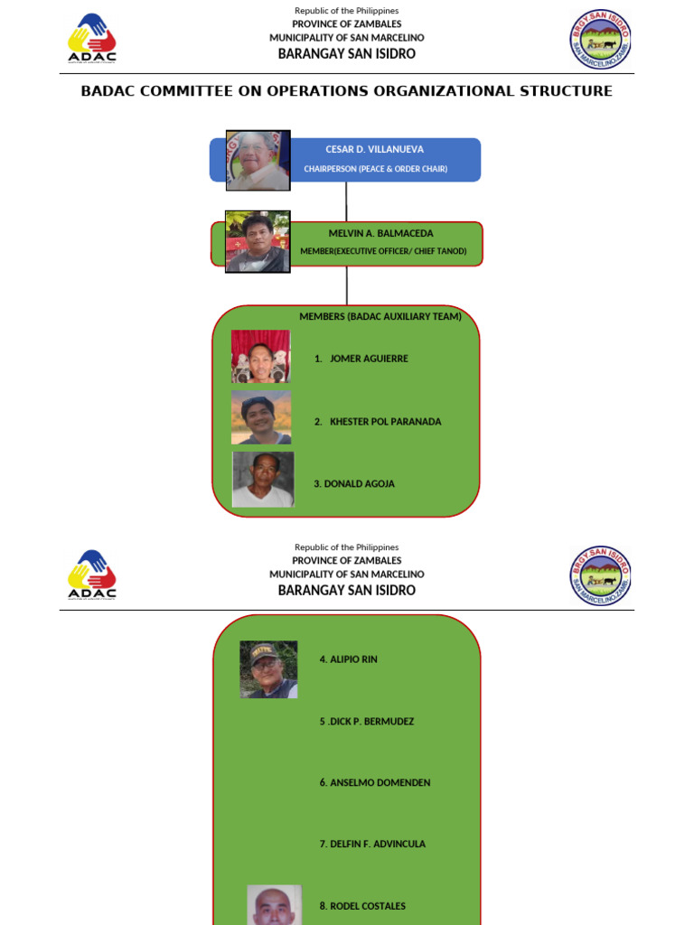 Badac Committee On Operations Organizational Structure | PDF