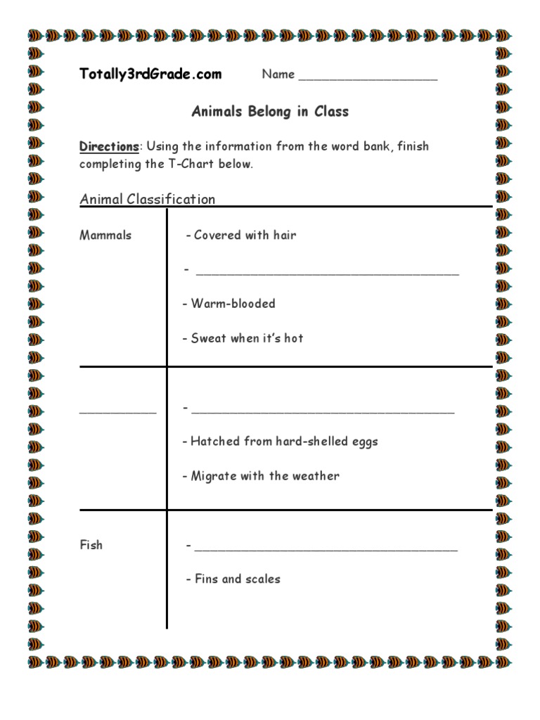 3rd Grade - Animal Classification Worksheet | PDF | Reptile | Gill