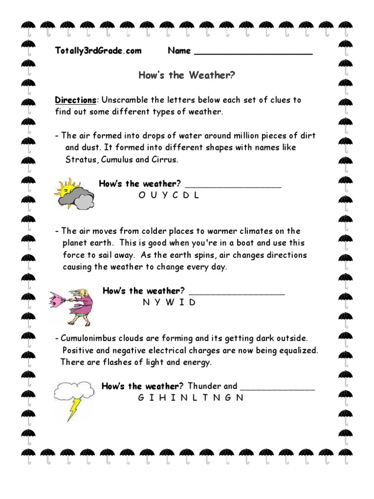 Types of Weather Worksheet for Kids | PDF