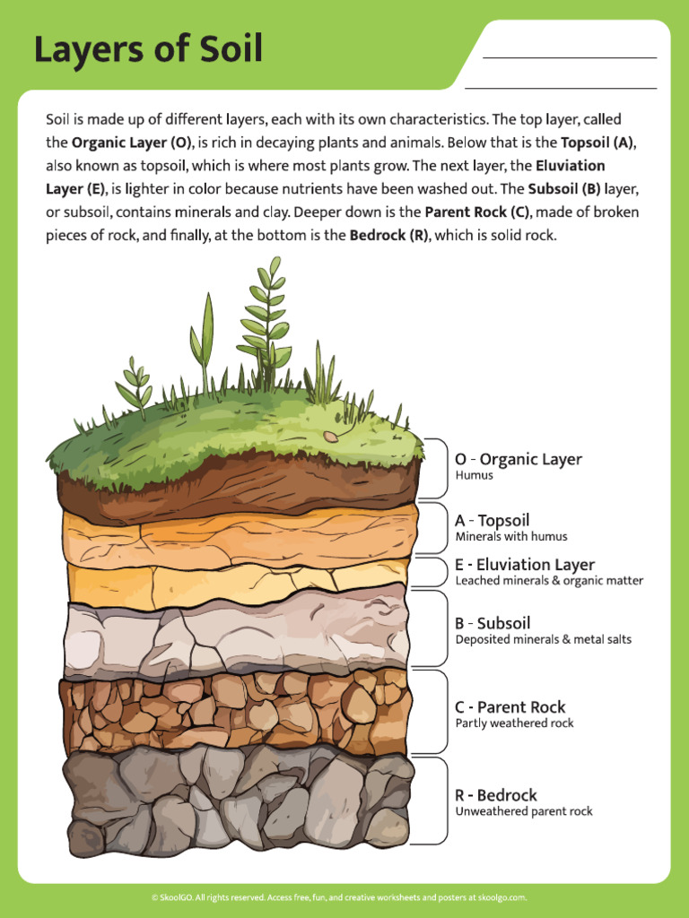 4 0056 Layers of Soil | PDF