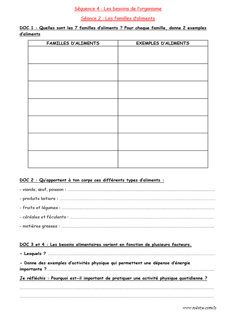 Fiche Élève Séance 2 Famille D'aliments | PDF
