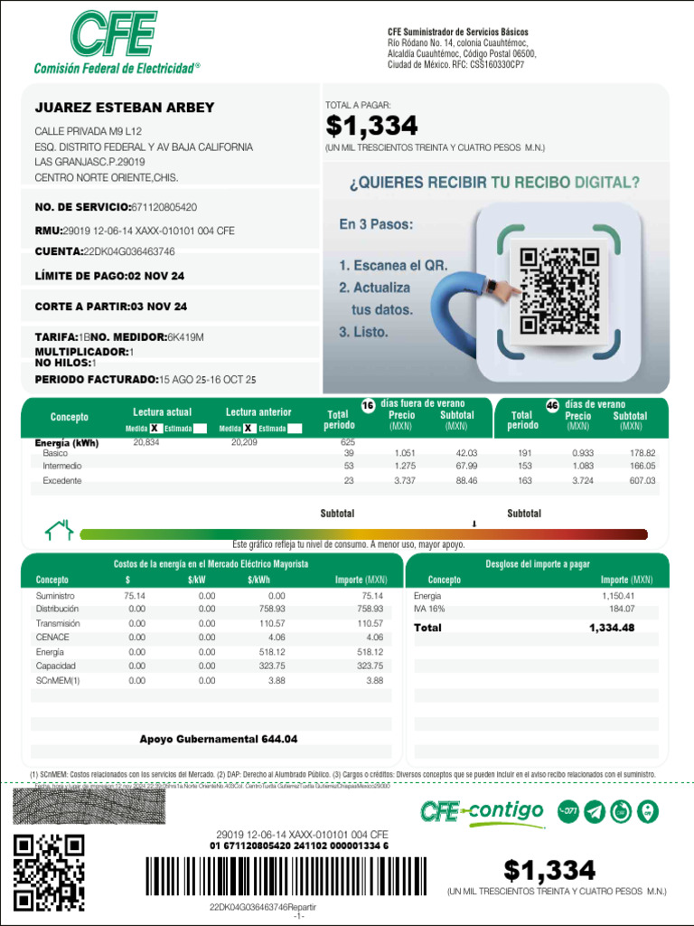 CFE BETY | PDF | Ingenieria Eléctrica | Electricidad
