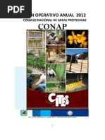 Qué Es El CONAP | PDF