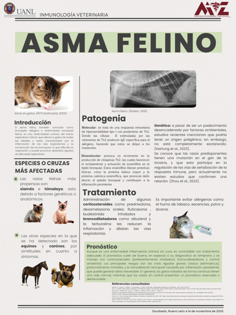 Folleto Asma Felino | PDF | Asma | Alergia
