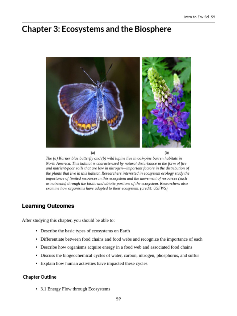 Ecosystems and The Biosphere - Chapter | PDF | Ecosystem | Dead Zone ...
