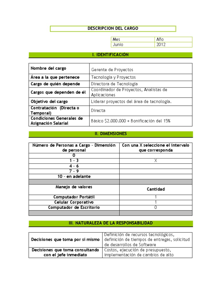 Formato Descripción Del Cargo Jefe de Proyectos | PDF | Software | Toma de decisiones